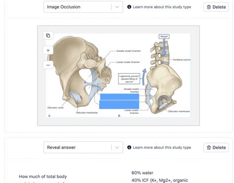 Image Occlusion Studius