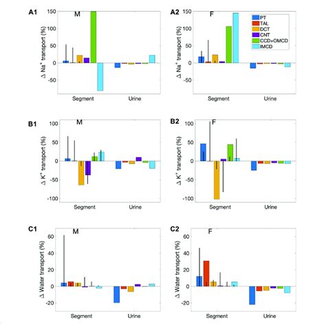 Effects On Segmental Transport And Urine Excretion If Transporter