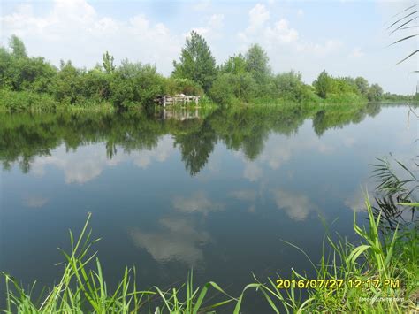 Р Воронеж у Каликино Бывший мост сешка Добровский район Фотопланета