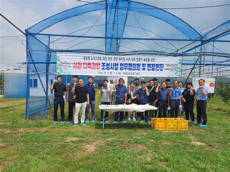 사과 다축과원 기술 안정화 방안 모색