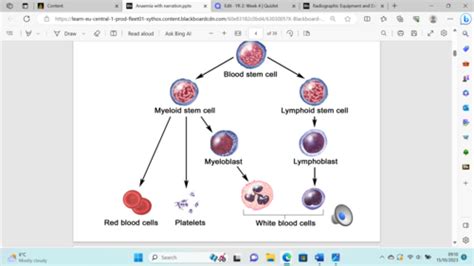Chapter 10 Flashcards Quizlet