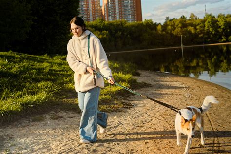 Девушка с собакой Пикабу