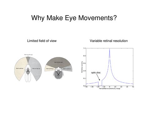 Why Make Eye Movements Lecture Slides Psy 323 Docsity