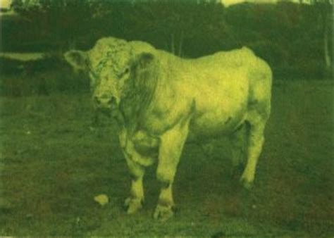 Duo Heather Ackroyd And Dan Harvey ‘grow Art