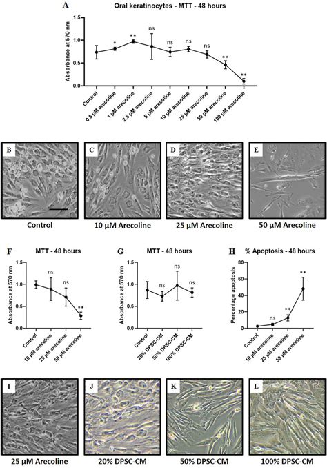 Mtt Assay For Cell Viability And Apoptosis Assay By Annexin Pi Method