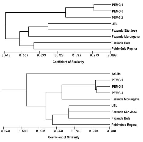 Dendrograms Based In Jaccard Similarity Coefficient For Rapd Loci Of
