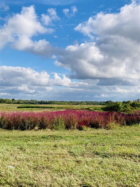 li ruan on linkedin earth earth land farmland fall crops harvest landscapes farms…