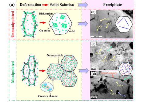 A The Mechanism Map Of Solute Atoms Diffusion During Deformation And Download Scientific