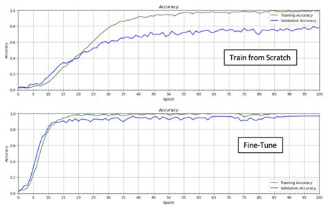 unlock the power of fine tuning pre trained models in tensorflow and keras