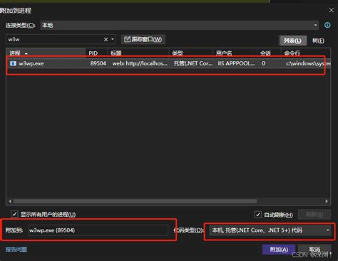 C Net Core Web 程序远程调试c如何调试web程序 Csdn博客