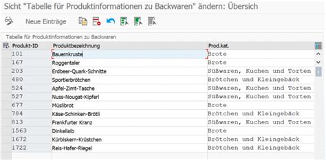 Programmieren Mit Sap Abap Teil 2 Das Abap Dictionary In Der Praxis Conet Technologie Blog