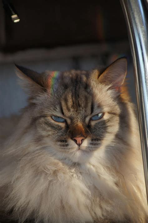 He Just Looks Like An Asshole But Is Actually The Sweetest R