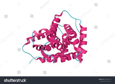 Crystal Structure Recombinant Human Interleukin 22 Ribbons Stock