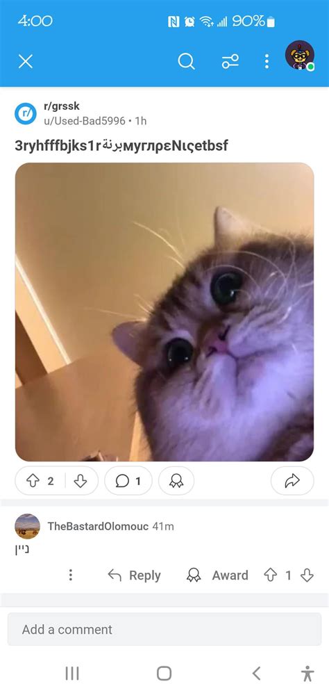 Another Assignment Misunderstood Rlostredditors