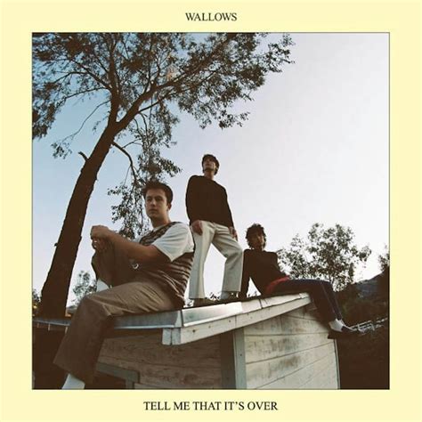 Wallows Shirts Wallows Merch Wallows Hoodies Wallows Vinyl Records