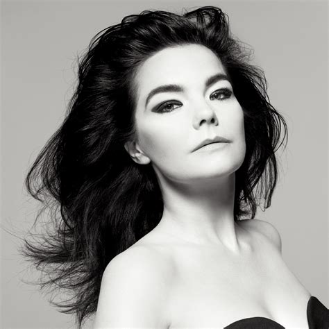 Whisky Memories Delírios De Uma Mente Perdida Björk