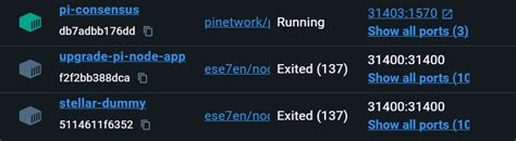 Need Help Setting Up Pi Node R Pinetwork
