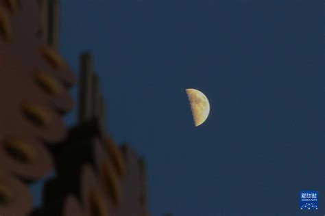星空相册丨年度最大上弦月现身天宇 光明网