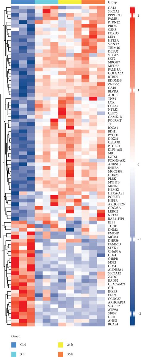 The Results Of Deg Identification A Box Plot Distribution
