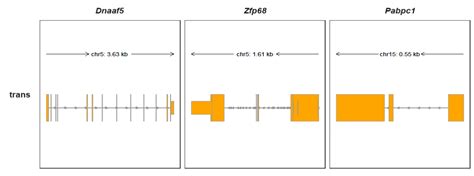Chapter 5 Basic Visualization Biosequtils Reference