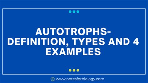 Autotrophs Definition Types And 4 Examples