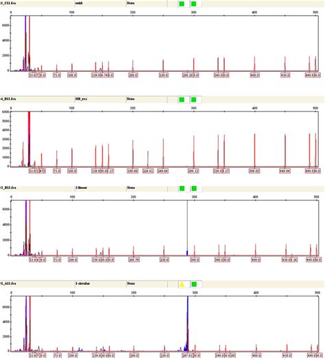Single Cell Pcr Analysis Capillary Electrophoresis Row 1 Negative