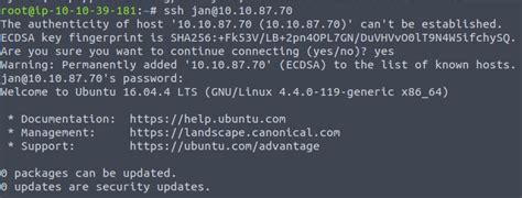 Tryhackme Basic Pentesting Walkthrough Bug Hacking