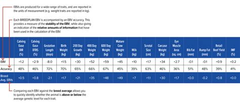 Interpreting Breedplan Ebvs The Toolbox Mla Elearning