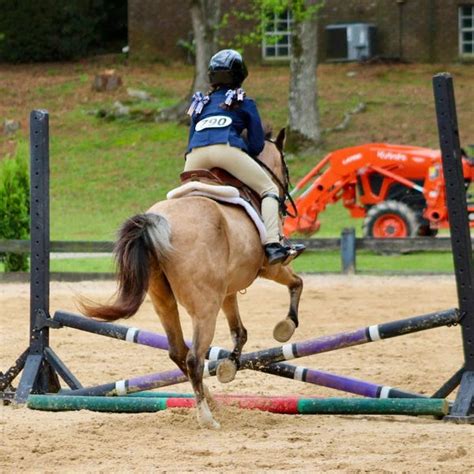 Monogrammed Initial Hair Bow Any Initial Hair Bow Custom Tuxedo Hair