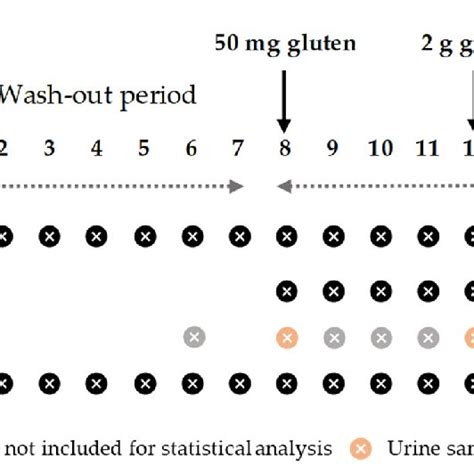 The Diagnostic Algorithm For Celiac Disease Diagnosis Figure Source 1 Download Scientific