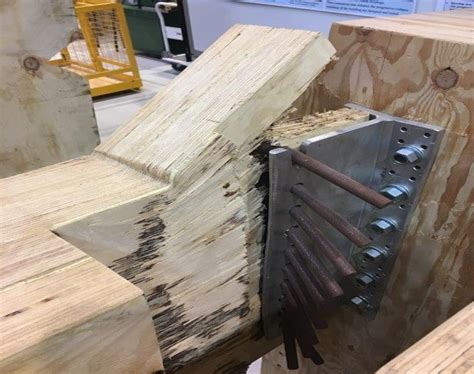 Designing Timber Structures For Robustness