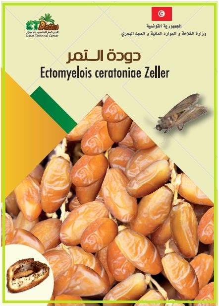 كتاب دودة التمر و طرق مكافحتها