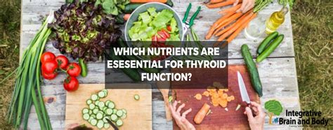 Essential Nutrients For Thyroid Function Integrative Brain And Body