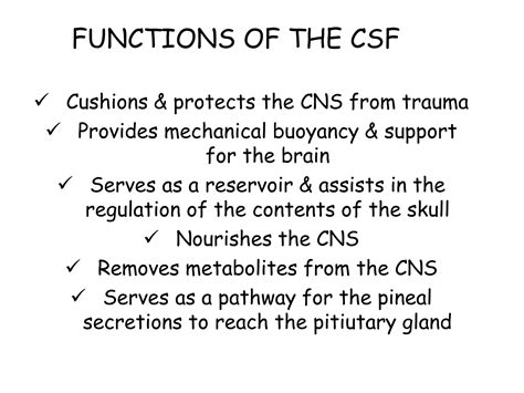 Cerebral Spinal Fluid Csf And Ventricles Pdf