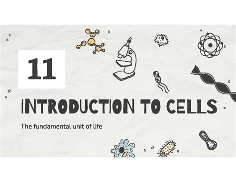 Introduction To Cells And Microscopy Lecture Notes Studocu