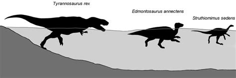 Schematic Representation Of The Hunting Scenario Tyrannosaurus Rex Is