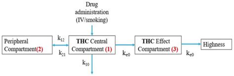 Schematic Representation Of The Effect Compartment Model Relating Download Scientific Diagram