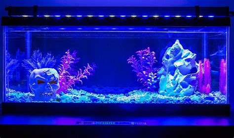 Led Vs Fluorescent Aquarium Lights Pros And Cons 54 Off