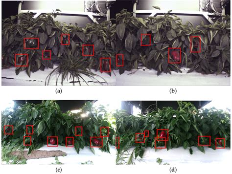 DeepFruits A Fruit Detection System Using Deep Neural Networks