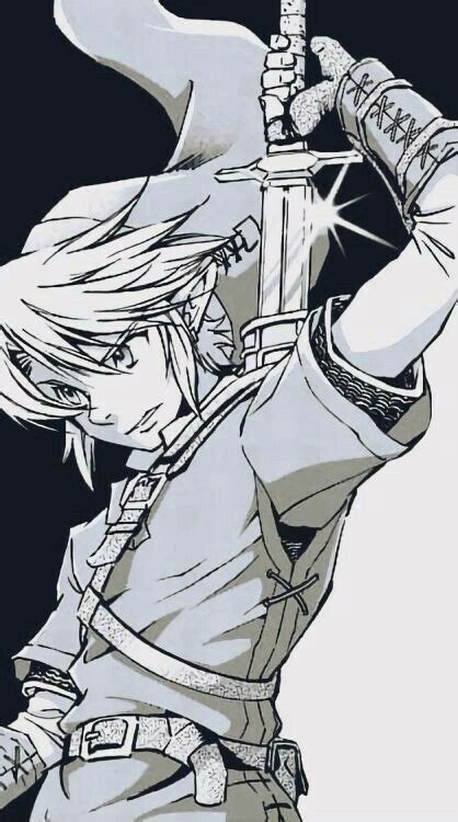 Link The Legend Of Zelda Legend Link Zelda Zeldabreathofthewild