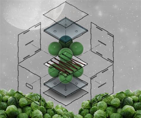 Cabbage Hydroponics 4 Steps Instructables