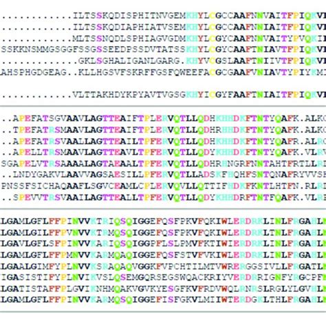 Multiple Sequence Alignment Of Representative Slc25a51 Homologs From