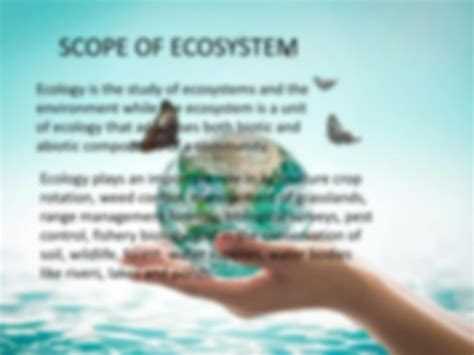 SOLUTION Ecosystem Definition And Scope Studypool