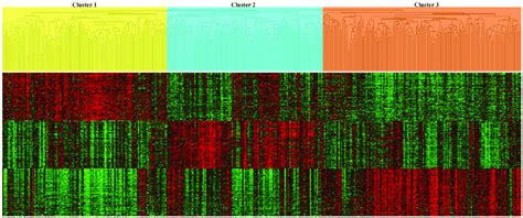 Hierarchical Clustering Yields Three Distinct Groups Hierarchical Download Scientific Diagram