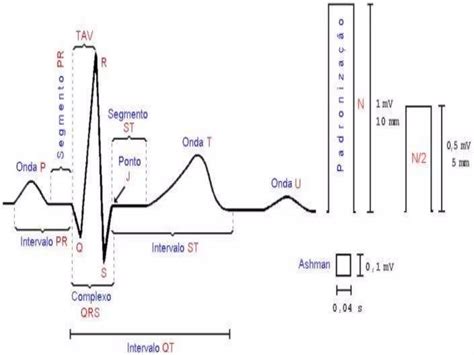 5a Aula Eletrocardiograma1 Pdf Heart And Cardiovascular Diseases