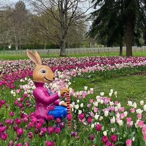 Private Sex Yukiko Fuse My Xxx Hot Girl