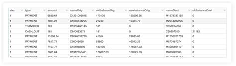 머신러닝 적용사례 제 4장 의사결정 트리 및 Mlflow를 사용한 대규모 금융 사기 탐지 네피리티