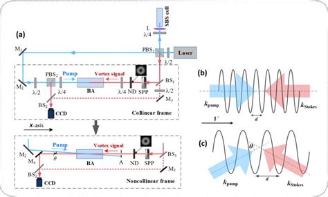 Parametric Amplification Of Orbital Angular Momentum Beams Based On