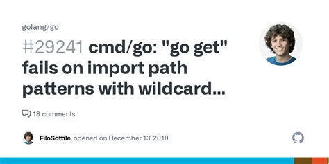 Cmdgo Go Get Fails On Import Path Patterns With Wildcards
