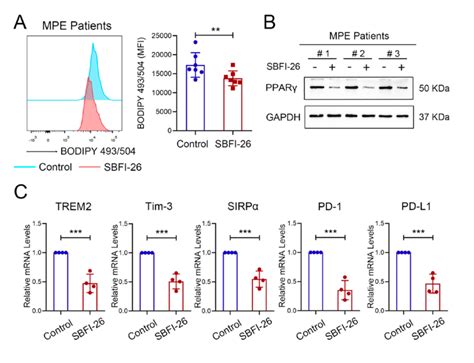 文献解析｜巨噬细胞遇上代谢重编程 知乎